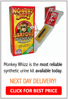 Female Whizzinator (Whizz Kit) March 2021 Review Update!